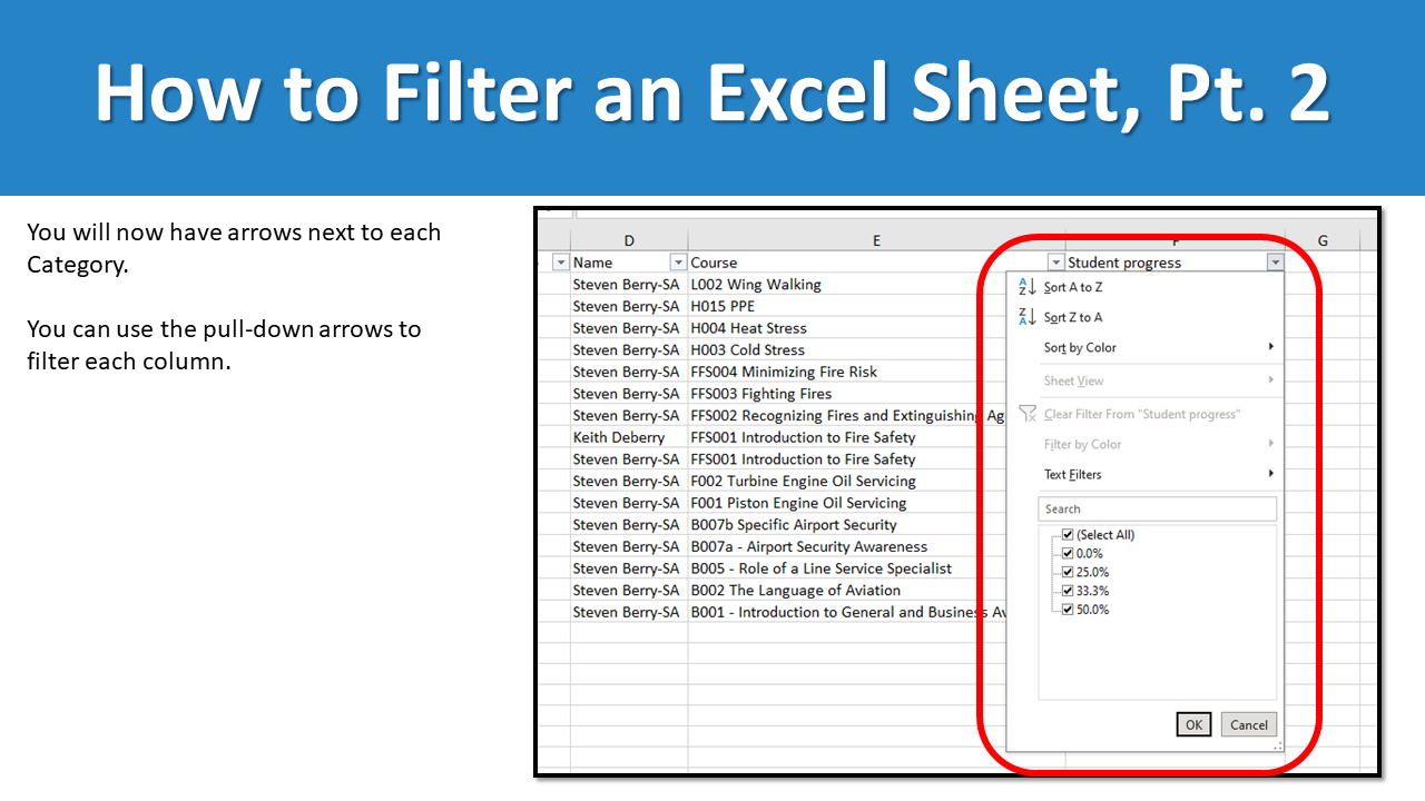 How to Filter Reports Exported in Excel