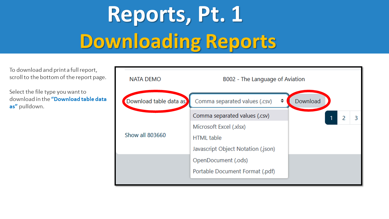 How to View and Download Reports